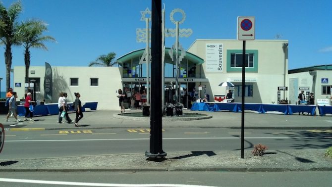 BEST THINGS TO DO IN NAPIER WITH KIDS