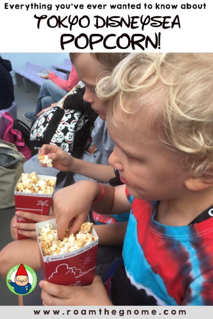 11 BEST TOKYO DISNEYSEA POPCORN FLAVORS TO TRY!