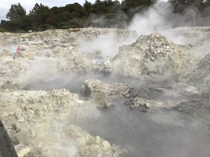 SNEAK PEEK INSIDE HELLS GATE ROTORUA THERMAL PARK