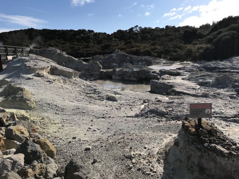 SNEAK PEEK INSIDE HELLS GATE ROTORUA THERMAL PARK