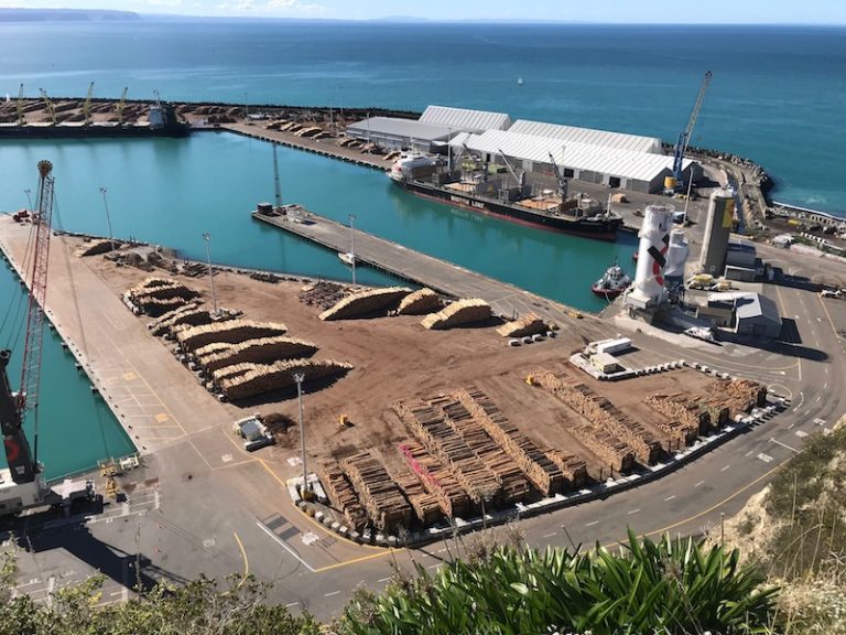 BEST THINGS TO DO IN NAPIER WITH KIDS